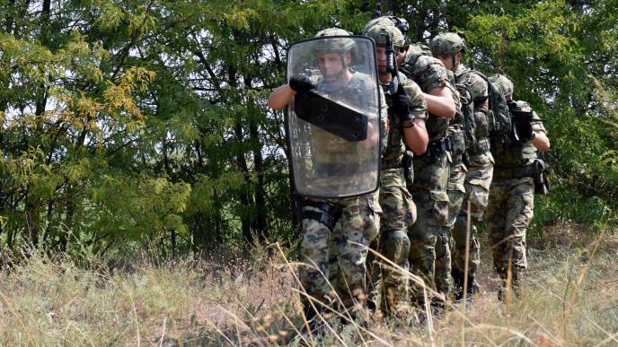 OD OVA 4 KRITERIJUMA ZAVISI KOJI ĆETE BITI ROD U VOJSCI